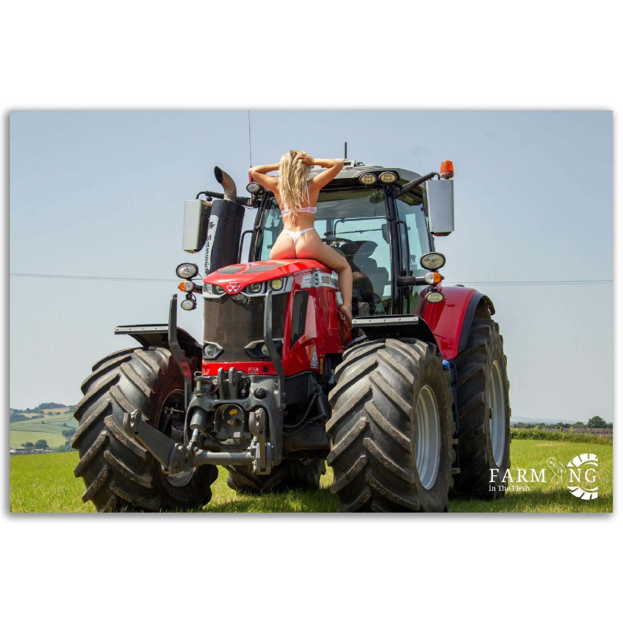Massey Ferguson Poster – Farming In The Flesh